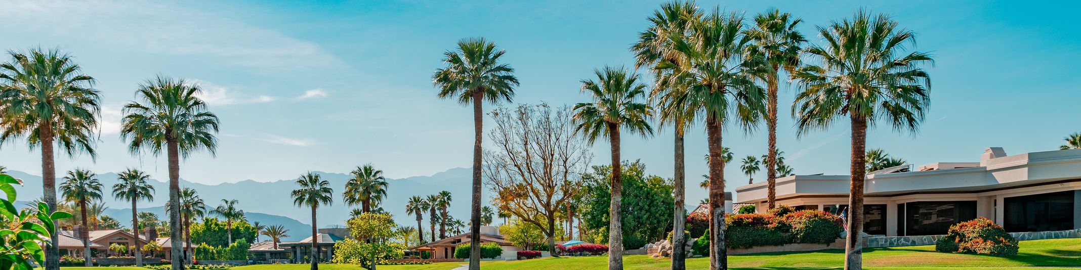 Online Master's in Public Health (MPH) Programs in California: Find the ...